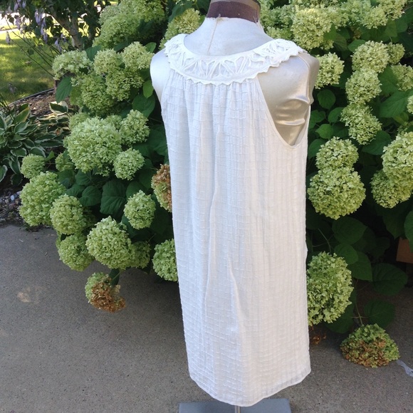 Max Studio | Dresses | Nwt Max Studio White Cotton Shift Dress M K ...